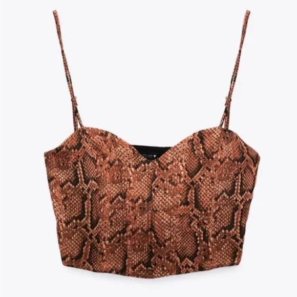 Zara | Tops | Zara Snake Print Corset Top | Poshmark